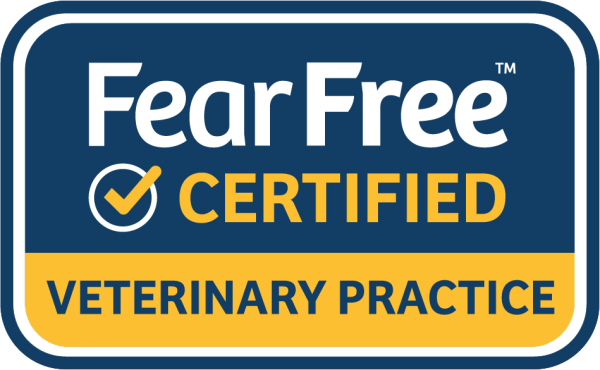 Balanoposthitis in Dogs - Boca Midtowne Animal Hospital