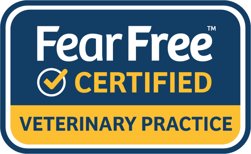 Balanoposthitis in Dogs - Boca Midtowne Animal Hospital