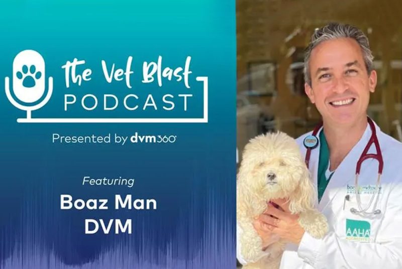 Dr. Boaz Man & Dr. Adam Christman from DVM 360 discuss BOAS on the ...